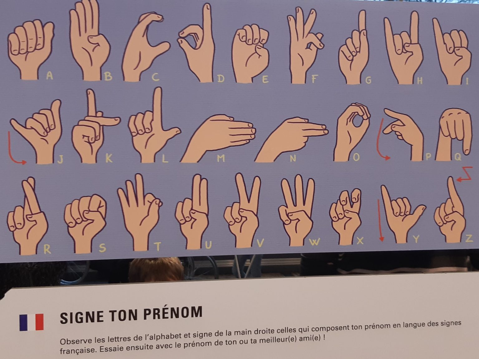 « LE QUOI DE NEUF ? » ÉVEIL AUX LANGUES – BILEM- Bilinguisme en ...